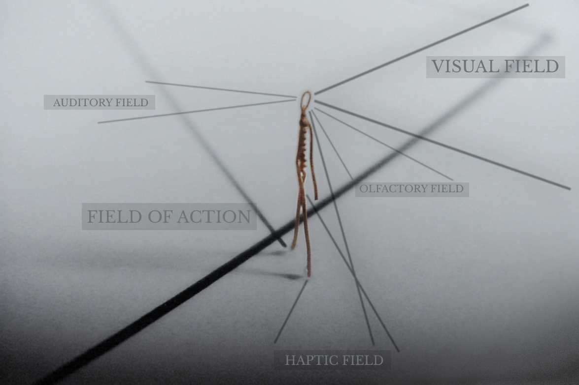 Place, Space, and the Fabric of Reality